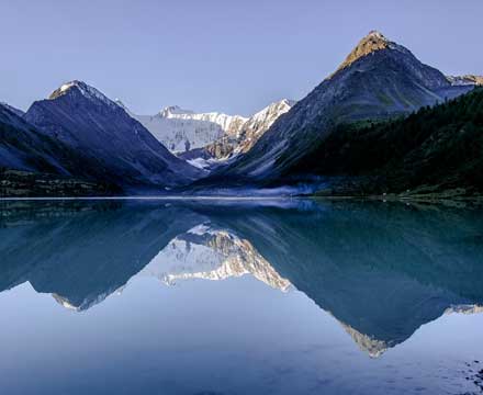 Reflectional Symmetry In Nature